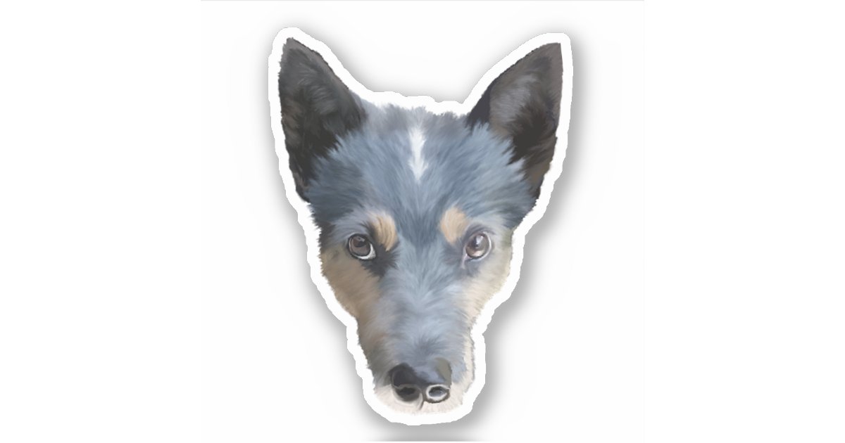 Blue Heeler / Australian Cattle Dog Sticker | Zazzle