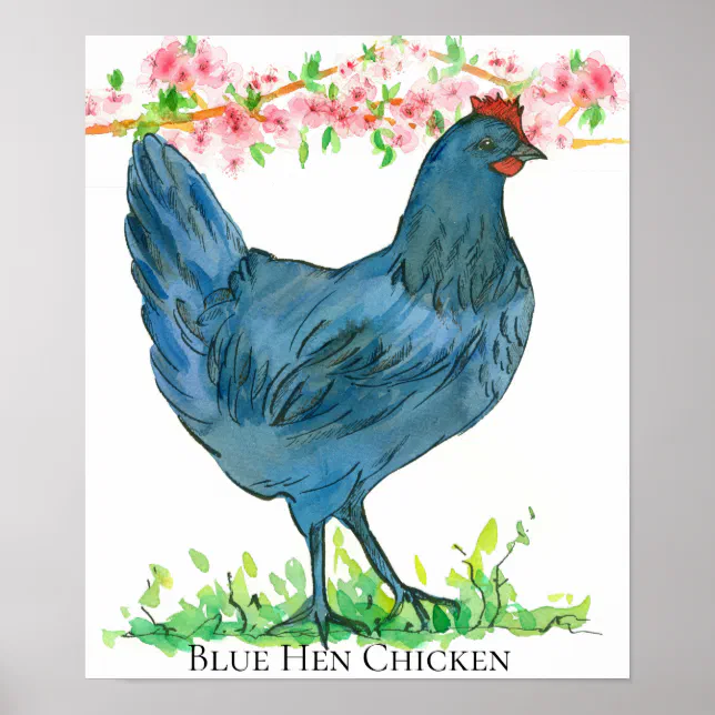 Blue Hen Chicken State Bird of Delaware Poster | Zazzle