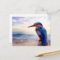 Blue Hummingbird Exotic Sunset Beach Postcard | Zazzle