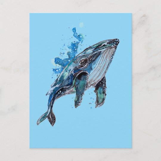 Blue Humpback Whale Postcard | Zazzle.com