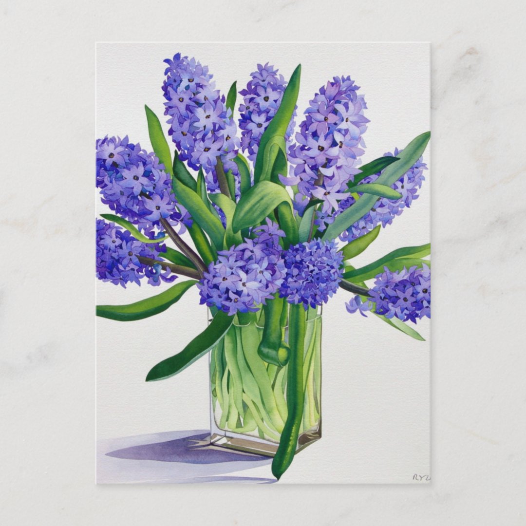 Blue Hyacinths Postcard | Zazzle