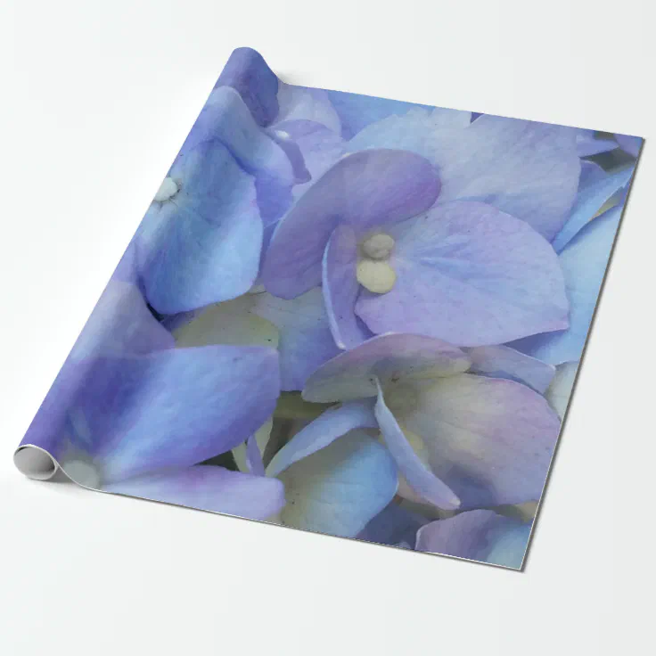 Blue Hydrangea Blossom Wrapping Paper | Zazzle
