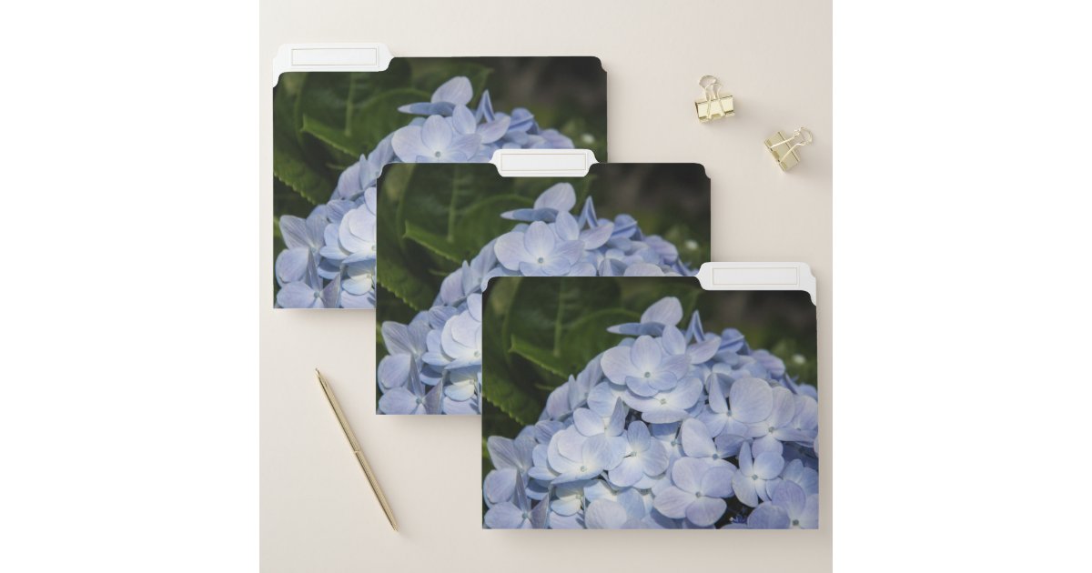 Blue Hydrangea File Folders | Zazzle