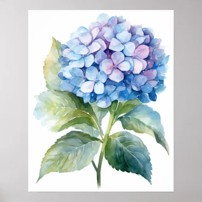 Blue Hydrangea Flower Art Print Poster | Zazzle