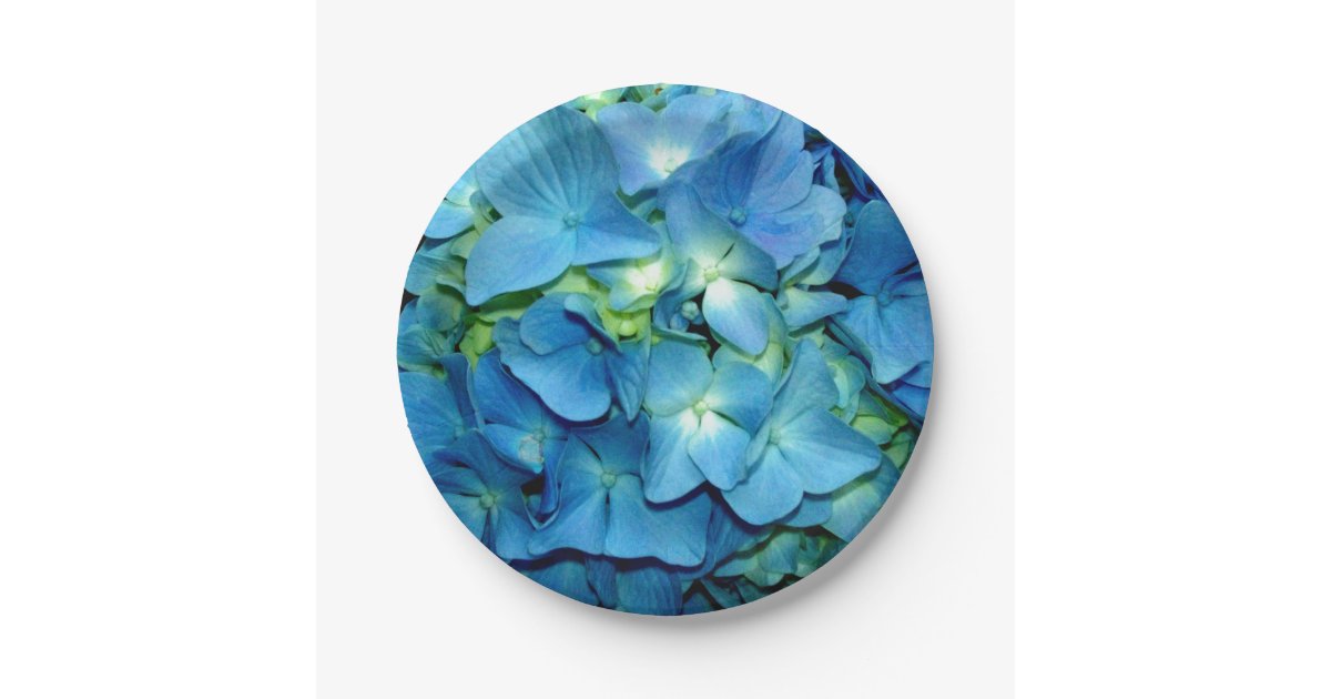Blue Hydrangea Paper Plates | Zazzle