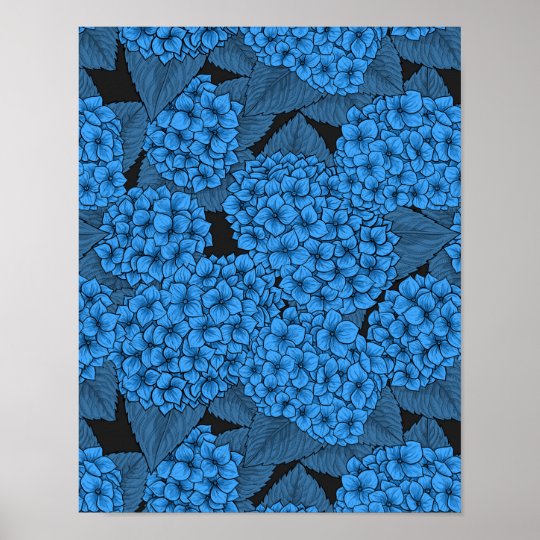 Blue hydrangea poster | Zazzle.com