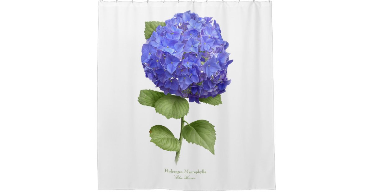 Blue Hydrangea Shower Curtain | Zazzle