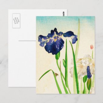 Blue Iris - Japanese watercolor print Postcard | Zazzle