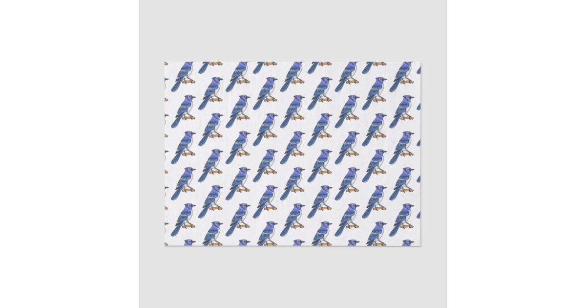 Blue jay bird cartoon illustration tissue paper | Zazzle
