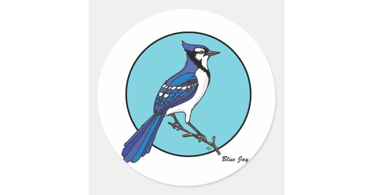 BLUE JAY CLASSIC ROUND STICKER | Zazzle