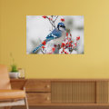 Blue Jay in Common Winterberry Poster | Zazzle
