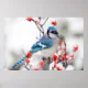 Blue Jay in Common Winterberry Poster | Zazzle