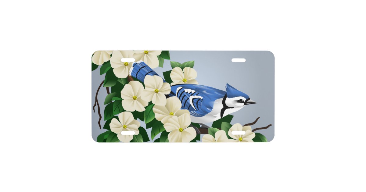 Blue Jay License Plates | Zazzle