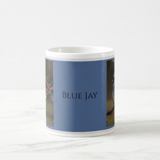 Blue Jay Mug | Zazzle