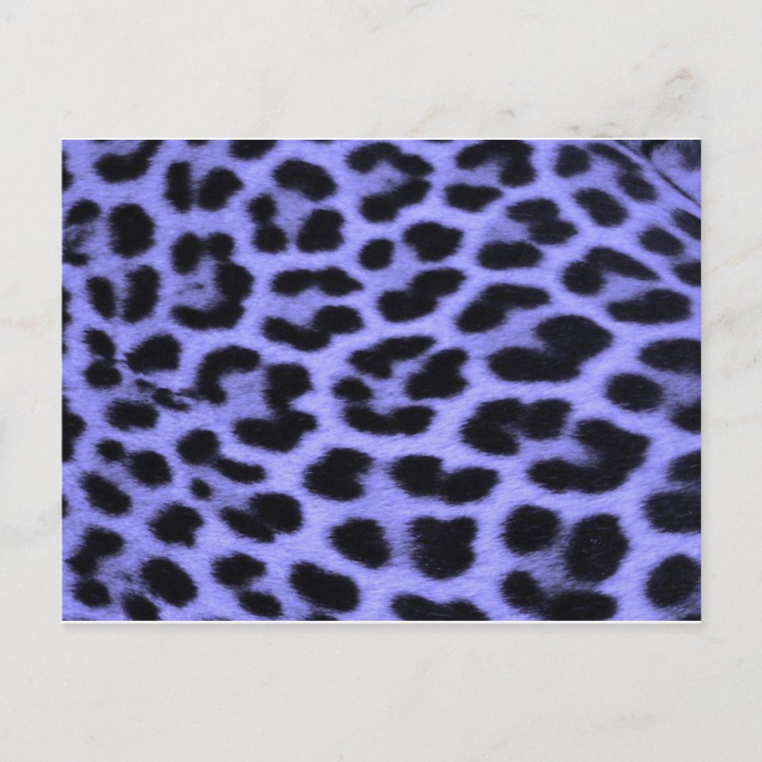 Blue Leopard print background Postcard | Zazzle