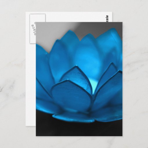 Blue Lotus Flower Postcard | Zazzle