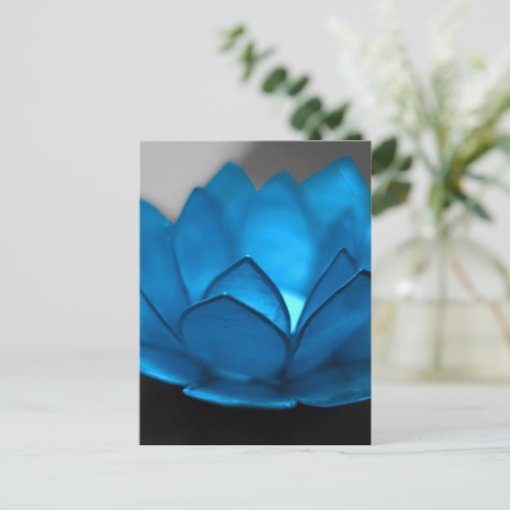 Blue Lotus Flower Postcard | Zazzle
