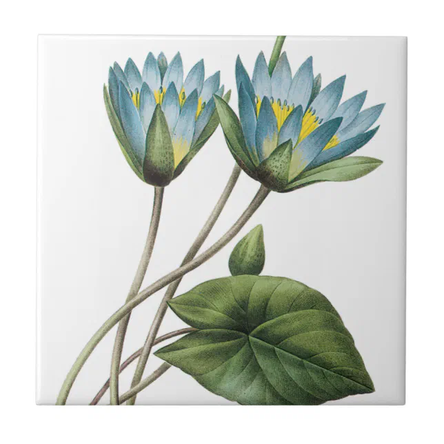 BLUE LOTUS FLOWERS TRIVET | Zazzle
