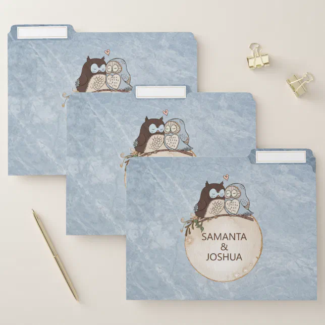 Blue Marble And Owls File Folder | Zazzle
