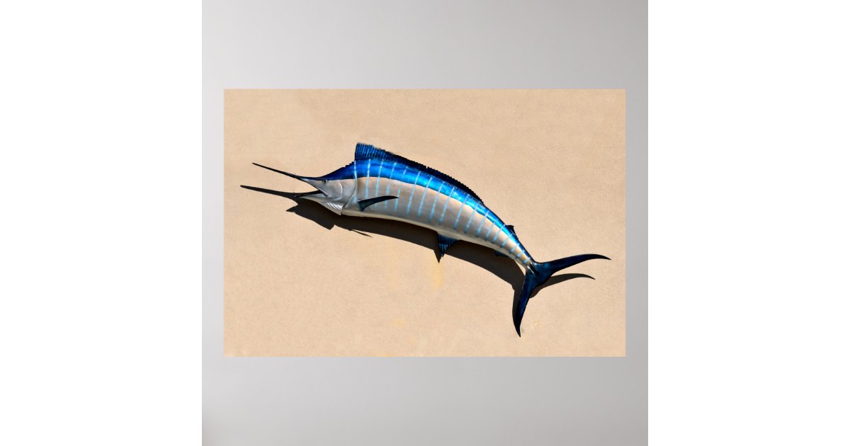 Blue Marlin Fish Mount Poster | Zazzle