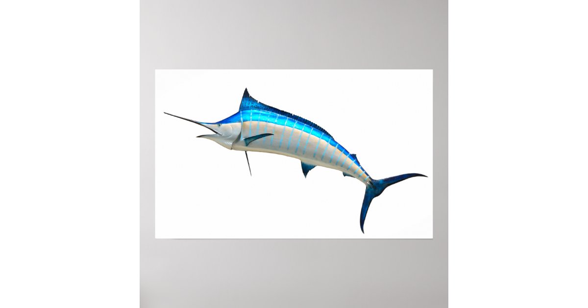 Blue Marlin Game Fish Poster | Zazzle