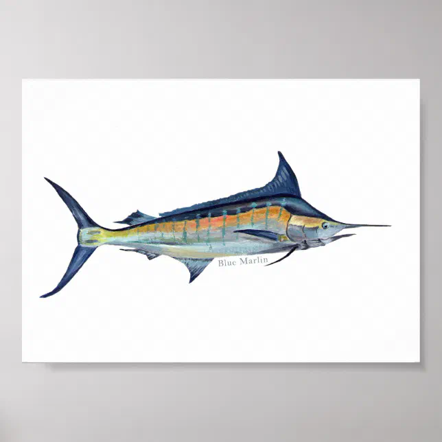 Blue Marlin poster | Zazzle
