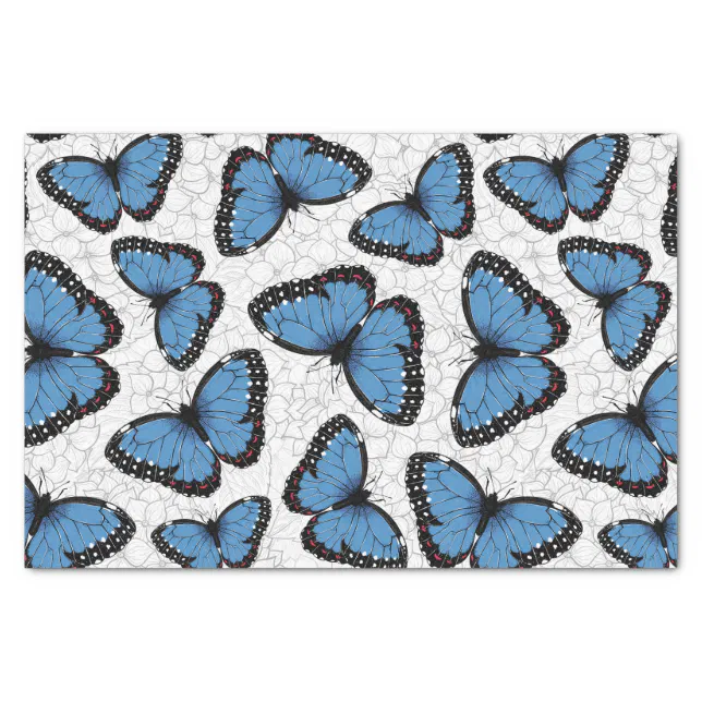 Blue morpho butterflies tissue paper | Zazzle