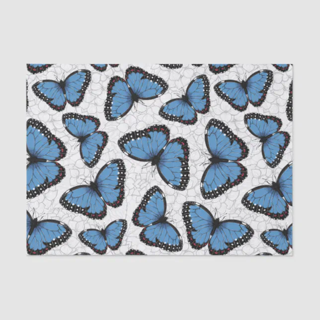 Blue morpho butterflies tissue paper | Zazzle