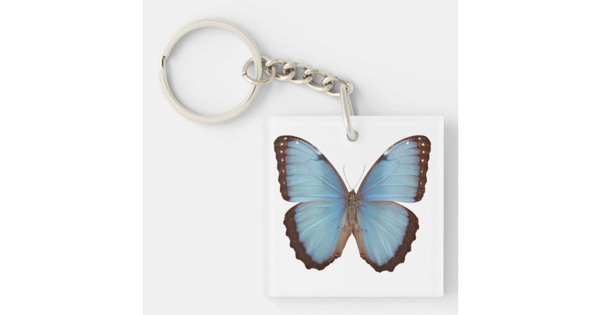 Blue Morpho Butterfly Keychain | Zazzle