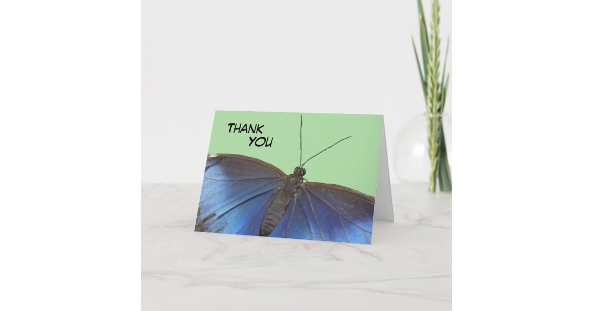 Blue Morpho Butterfly Thank You Greeting Card | Zazzle