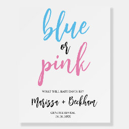 Blue or Pink Gender Reveal Welcome Sign | Zazzle