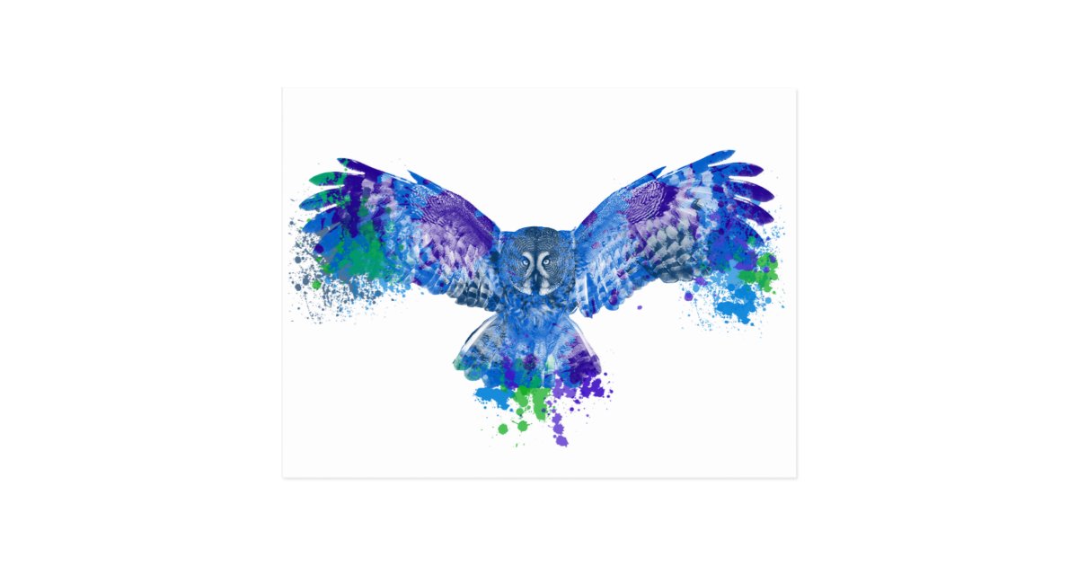 Blue owl color splash postcard | Zazzle.com