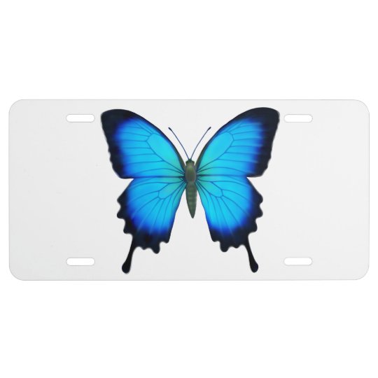 Blue Papilio Ulysses Butterfly License Plate | Zazzle.com