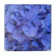 Blue periwinkle elegant floral hydrangeas ceramic tile | Zazzle