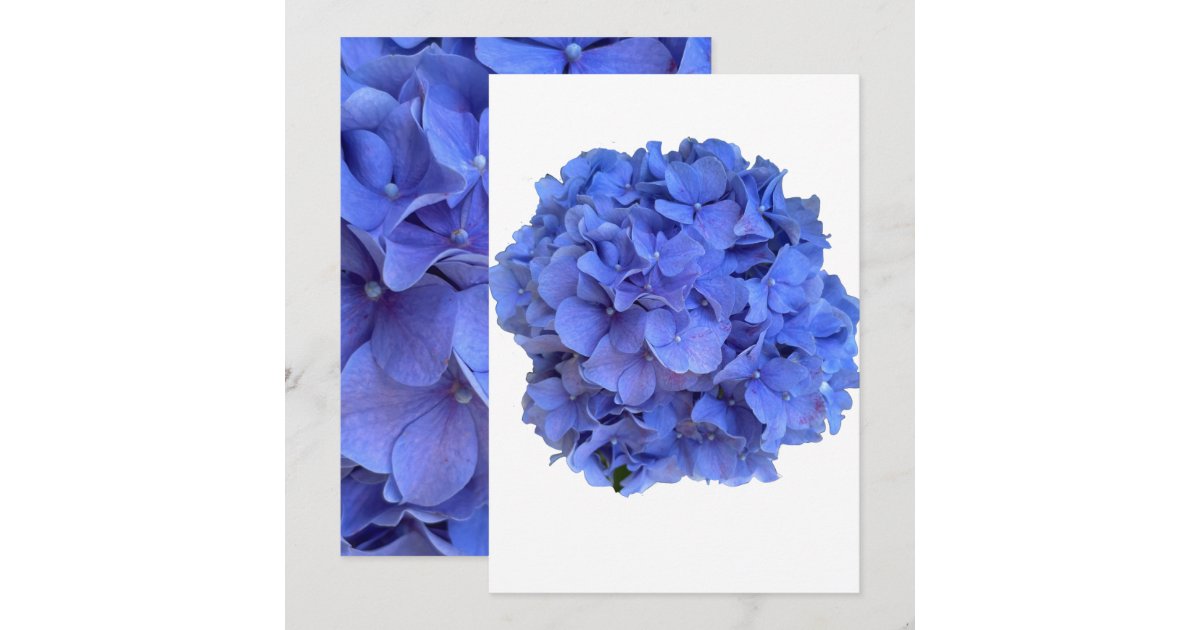 Blue periwinkle elegant floral hydrangeas invitation | Zazzle