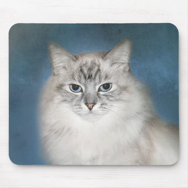 Blue point Himalayan cat Mouse Pad | Zazzle