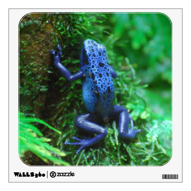Blue Poison Arrow Frog Wall Sticker | Zazzle