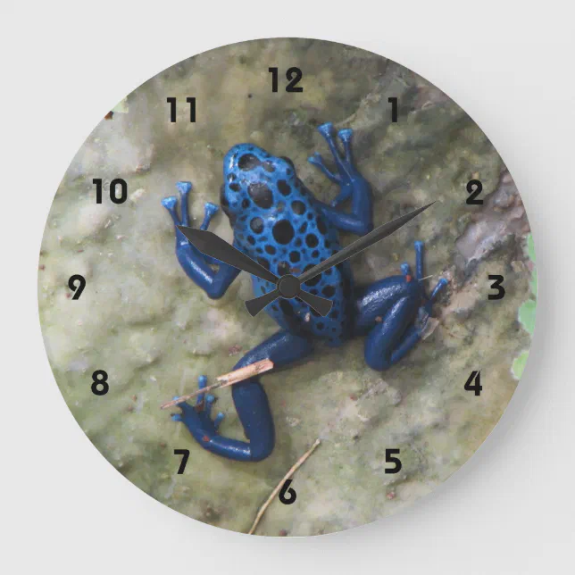 Blue Poison Dart Frog Large Clock | Zazzle