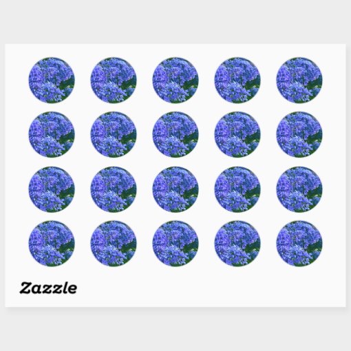Blue purple lilacs romantic blue floral photo classic round sticker ...