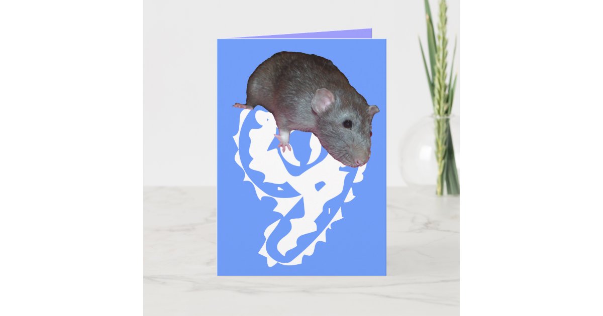 blue rat 9th birthday card | Zazzle