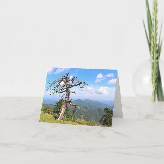 Blue Ridge Mountains Photo Note Card | Zazzle.com