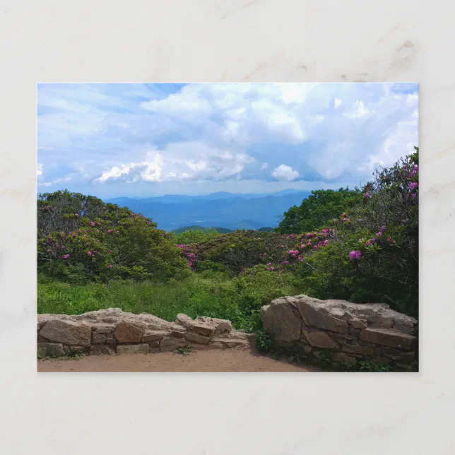 Blue Ridge Spring Postcard | Zazzle