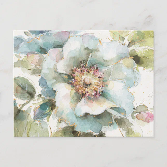 Blue Rose Postcard | Zazzle