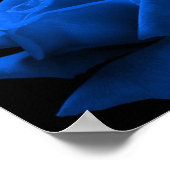 Blue Rose Poster | Zazzle