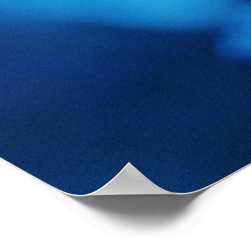 Blue Rose Poster | Zazzle