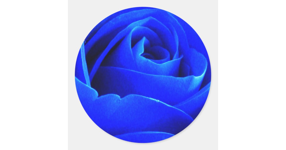 Blue Rose Sticker | Zazzle