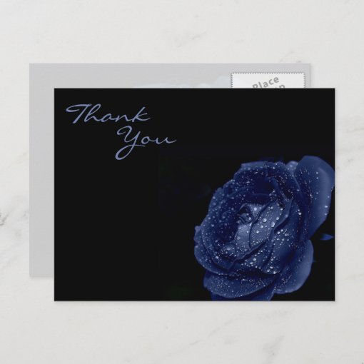 Blue Rose Thank You Postcard | Zazzle