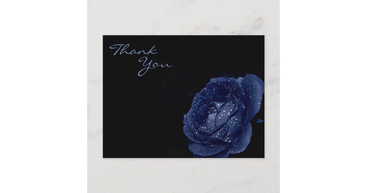 Blue Rose Thank You Postcard | Zazzle