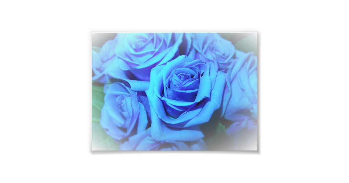 Blue Roses Photo Print | Zazzle