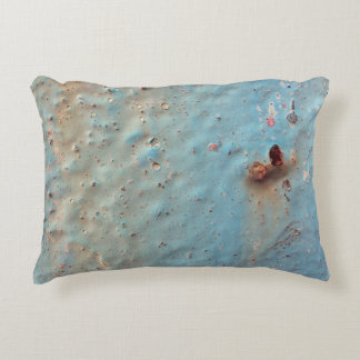 Blue And Rust Pillows - Decorative & Throw Pillows | Zazzle